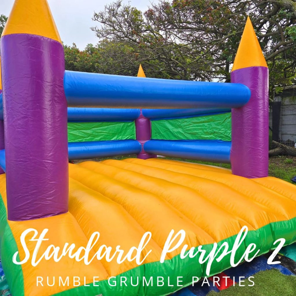 Jumping Castles – Page 5 – Rumble Grumble Parties